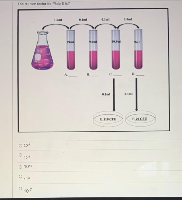 Solved The CFU/ml of the original sample from the flask is | Chegg.com