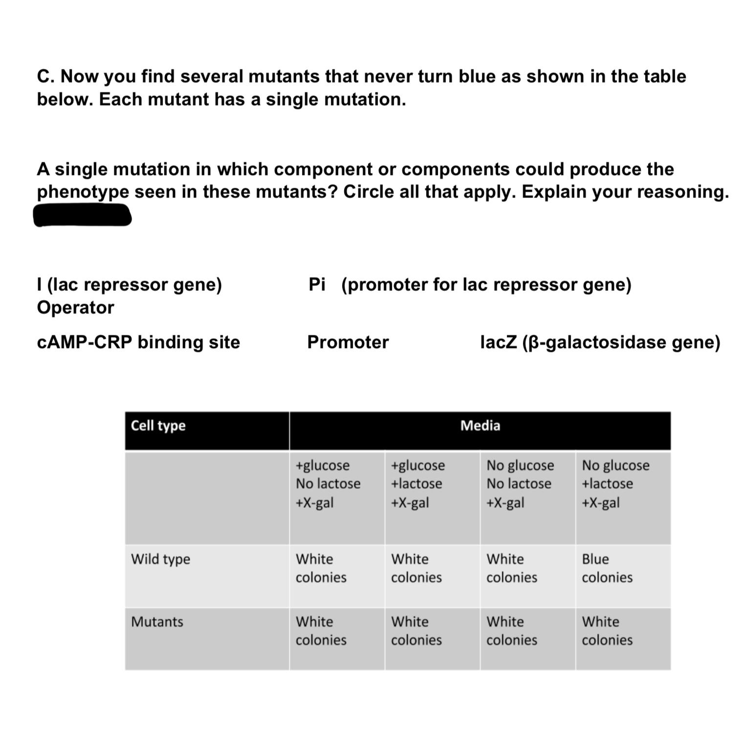 Solved C. ﻿Now you find several mutants that never turn blue | Chegg.com