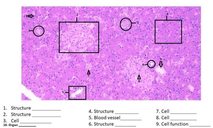 Solved 1. Structure 2. Structure 4. Structure 7. Cell 3. | Chegg.com