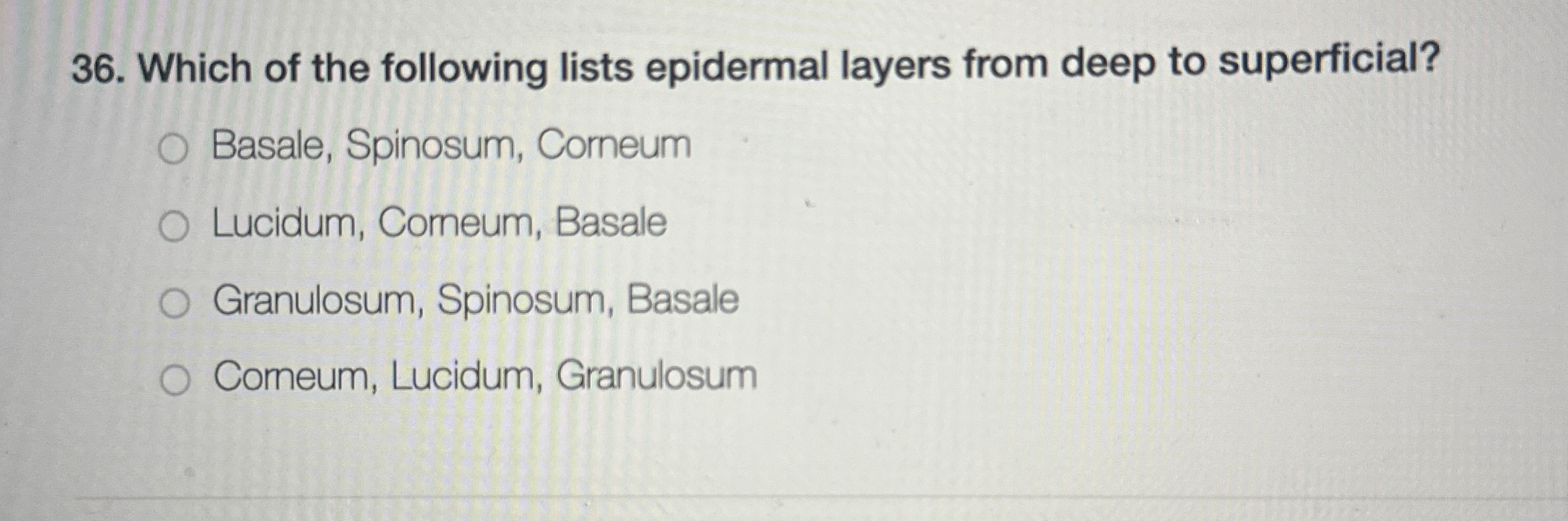 Solved Which of the following lists epidermal layers from | Chegg.com
