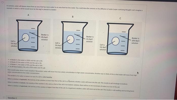 Solved 0=0In Beaker A, which of the following will occur? | Chegg.com