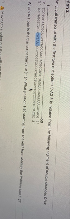 Solved tion 2 An E. coli transcript with the first two | Chegg.com