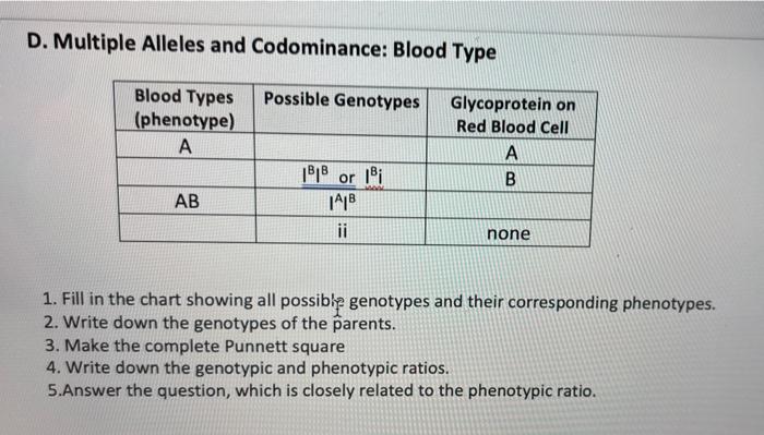 Solved D Multiple Alleles And Codominance Blood Type Chegg