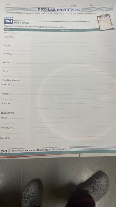 Solved PEE-LAE 20−1 Fovy Fermu Pexim Vientlogiment. | Chegg.com