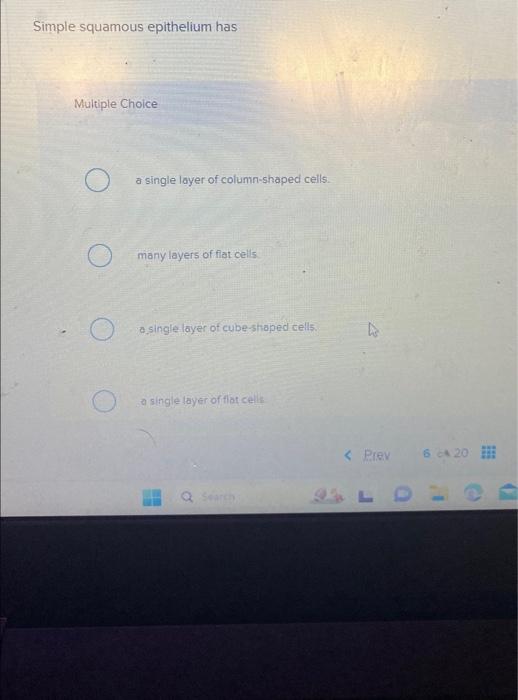 Solved Simple squamous epithelium has Multiple Choice O a | Chegg.com
