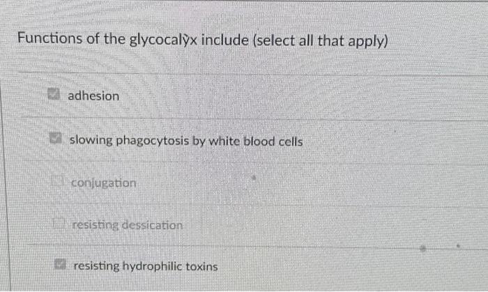 Solved Functions of the glycocalyx include (select all that | Chegg.com