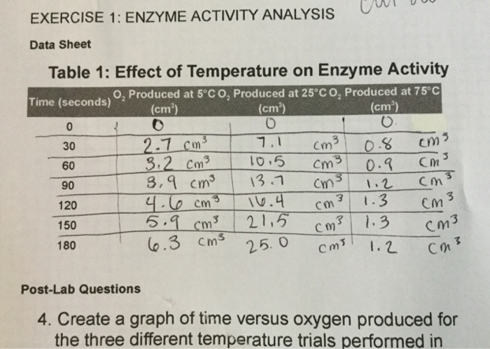 Solved Instructions: Create a graph of Time verus Oxygen | Chegg.com