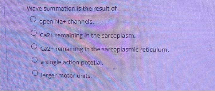 Solved Wave summation is the result of open Na+ channels. O | Chegg.com