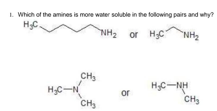 Solved 1. Which of the amines is more water soluble in the | Chegg.com