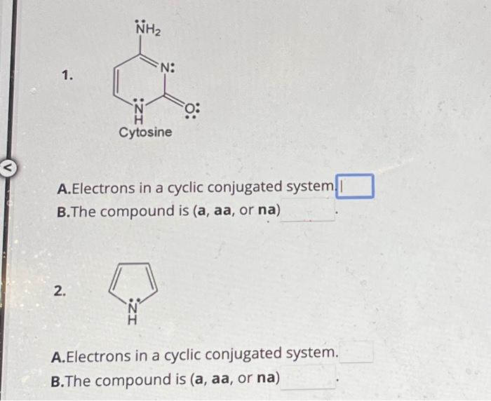 Solved A.Electrons in a cyclic conjugated system B.The | Chegg.com