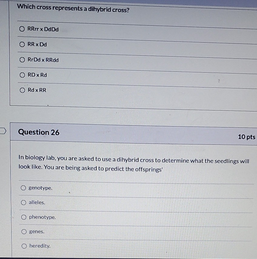 Solved Which cross represents a dihybrid cross? 0 RRrr xDuDd | Chegg.com