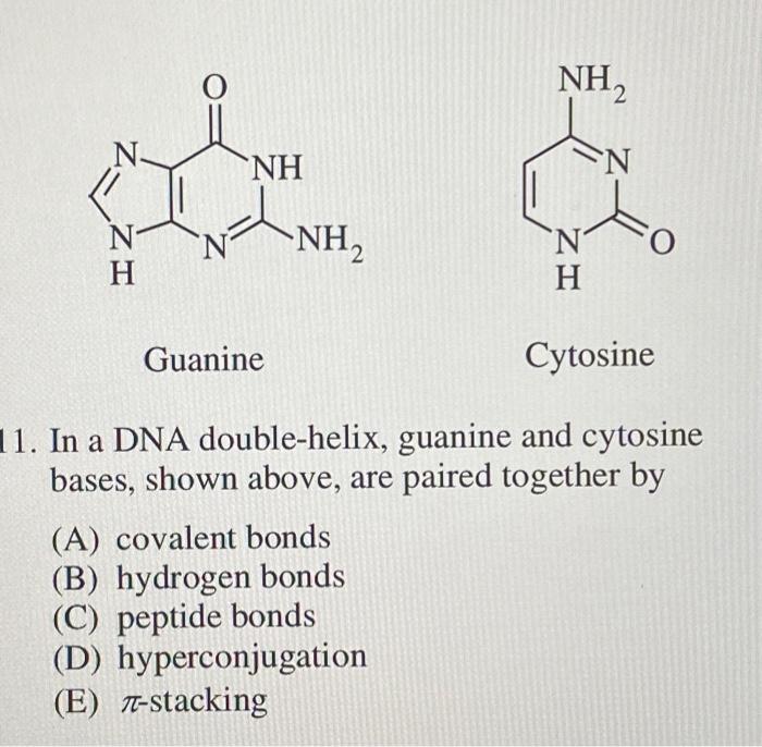 Solved Guanine Cytosine 1. In a DNA double-helix, guanine | Chegg.com