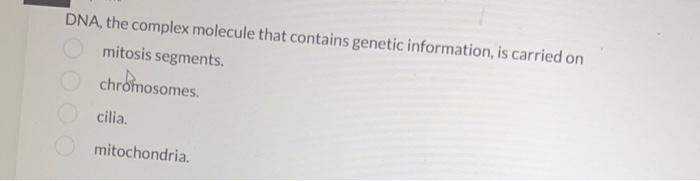 Solved Dna The Complex Molecule That Contains Genetic Chegg
