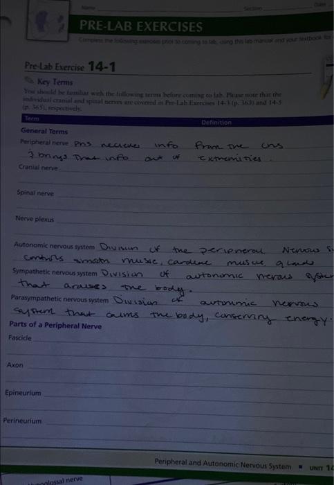 Solved PRE-LAB EXERCISES Proton the band your Pre-Lab | Chegg.com