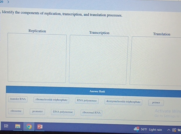 Solved Identify the components of replication, | Chegg.com