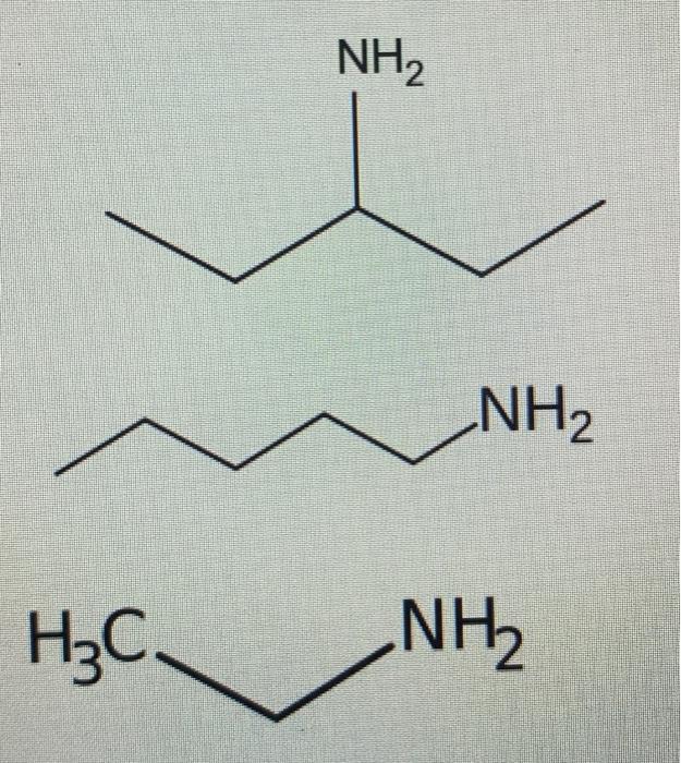 Solved NH2 NH2 H3C. NH2 | Chegg.com