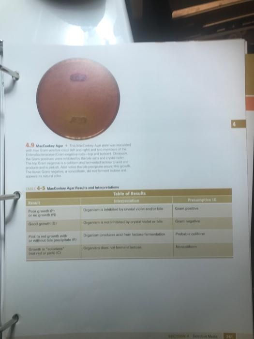 Selective and Differential Media Assignment Worksheet | Chegg.com