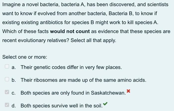 Solved Imagine a novel bacteria, bacteria A, has been | Chegg.com