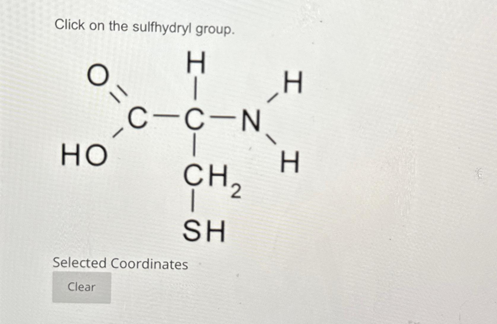 Click on the sulfhydryl group.Selected Coordinates | Chegg.com