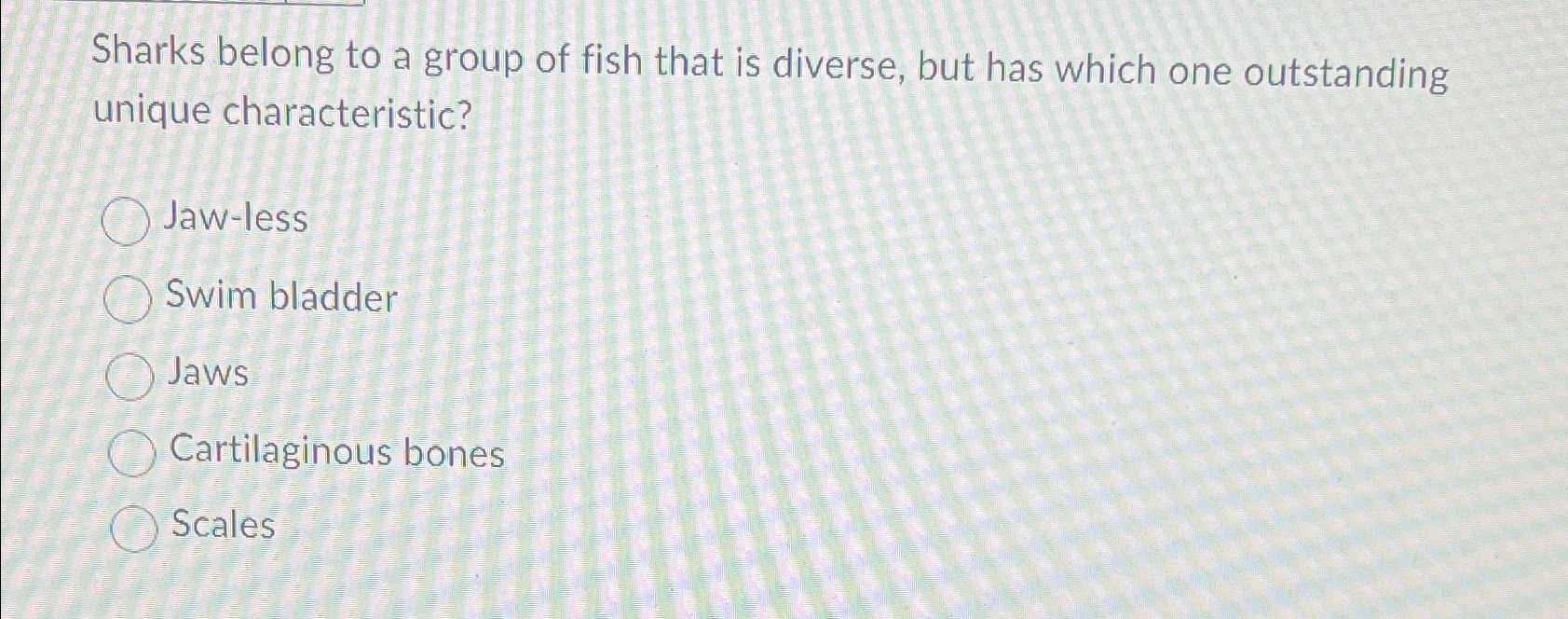 Solved Sharks belong to a group of fish that is diverse, but | Chegg.com