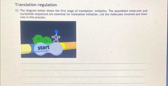 Solved Translation regulation 15. The diagram below shows | Chegg.com