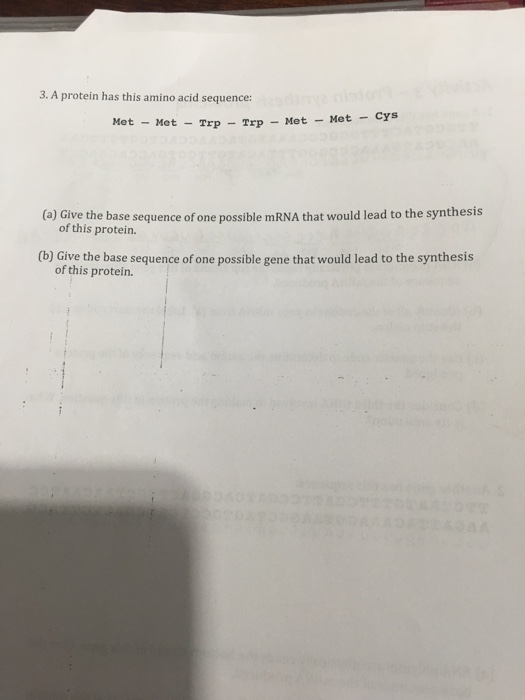 Solved Activity 3 - Protein synthesis problems 1. A gene has | Chegg.com