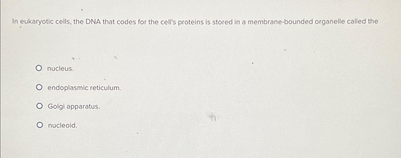 Solved In eukaryotic cells, the DNA that codes for the | Chegg.com