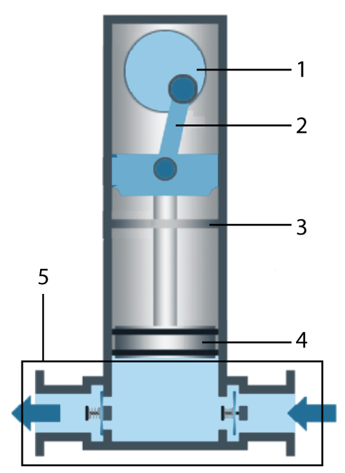 Solved • ﻿Identify the five numbered components.• ﻿Describe | Chegg.com