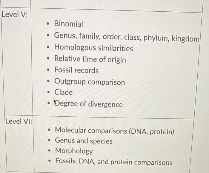 Solved Background This branch of taxonomy organizes the | Chegg.com