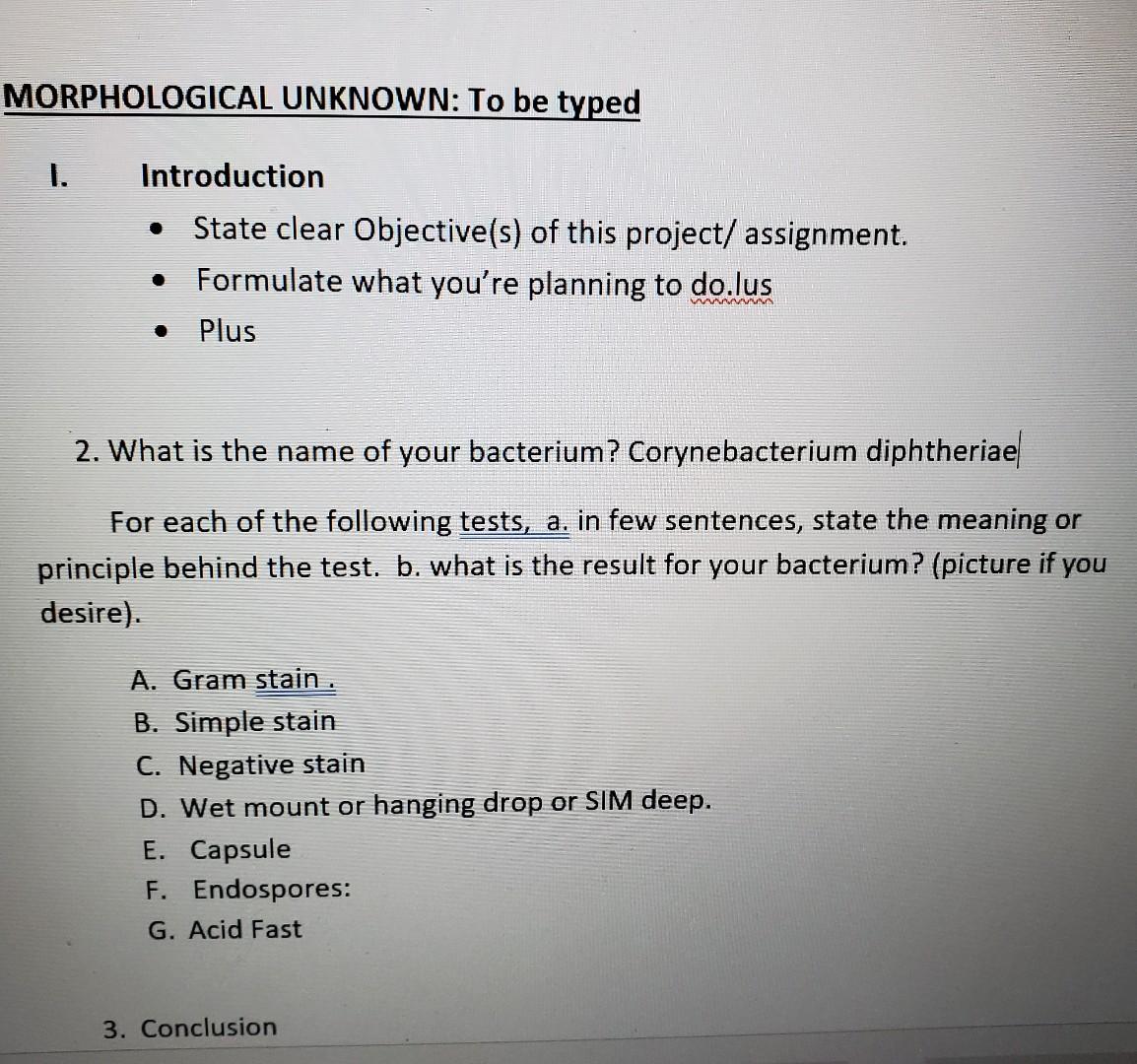 Solved MORPHOLOGICAL UNKNOWN: To be typed 1. Introduction | Chegg.com
