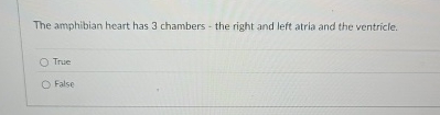 Solved The amphibian heart has 3 ﻿chambers - ﻿the right and | Chegg.com