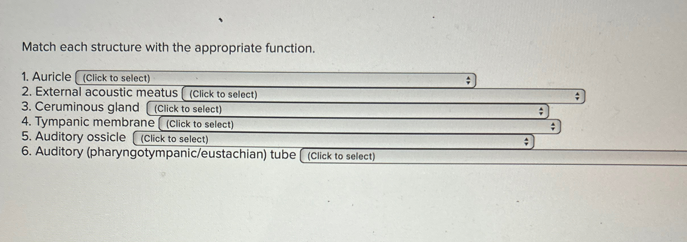 Solved Match each structure with the appropriate | Chegg.com