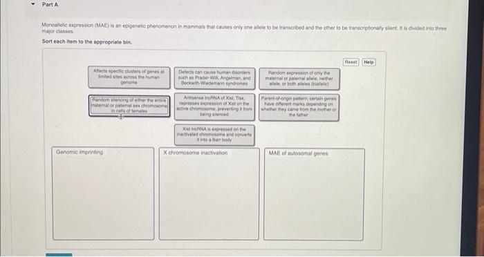 Solved mapor classes. Sort each item to the appropriate bin. | Chegg.com