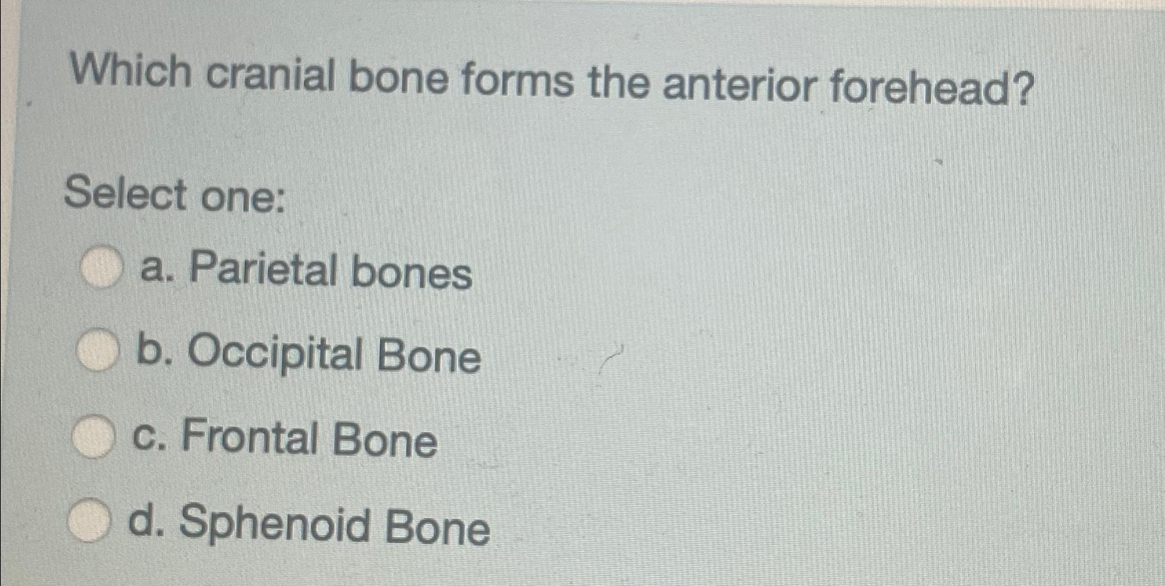 Solved Which cranial bone forms the anterior forehead?Select | Chegg.com