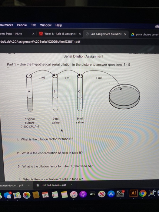 1/2 log dilution series