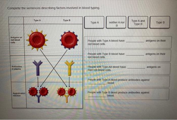 Solved Complete the sentences describing factors involved in | Chegg.com