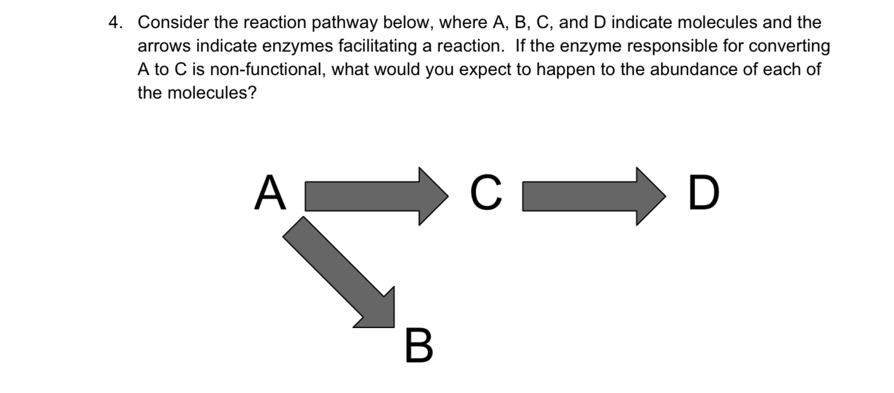 Solved Consider the reaction pathway below, where A,B,C, | Chegg.com