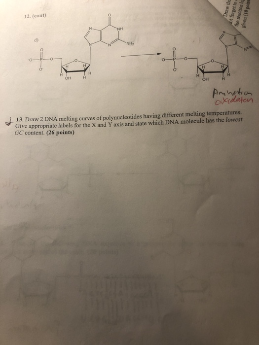 Solved draw 2 dna melting curves of polynucleotide having | Chegg.com
