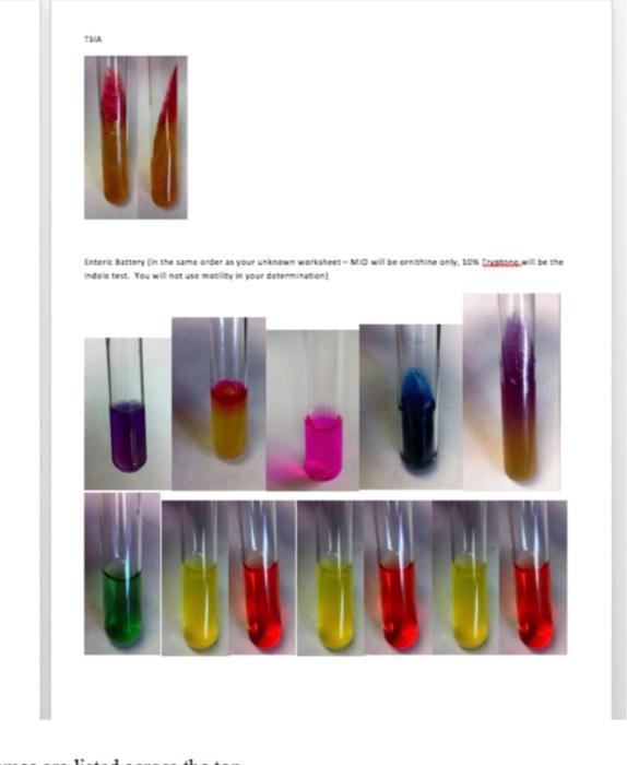based on the lab results. What would the results be | Chegg.com