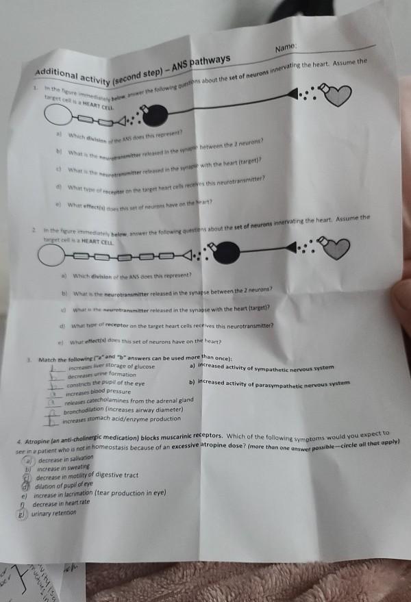 Solved Name: MART CEL Additional activity (second step) - | Chegg.com