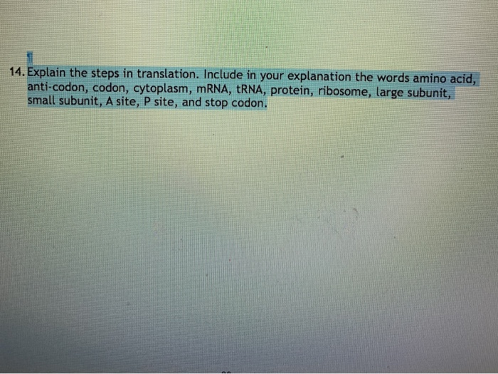 Solved 14. Explain the steps in translation. Include in your | Chegg.com