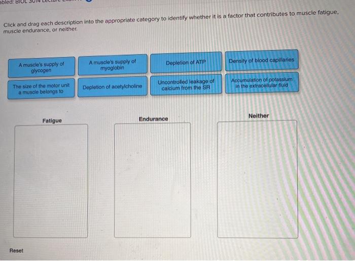 Solved Click and drag each description into the appropriate | Chegg.com