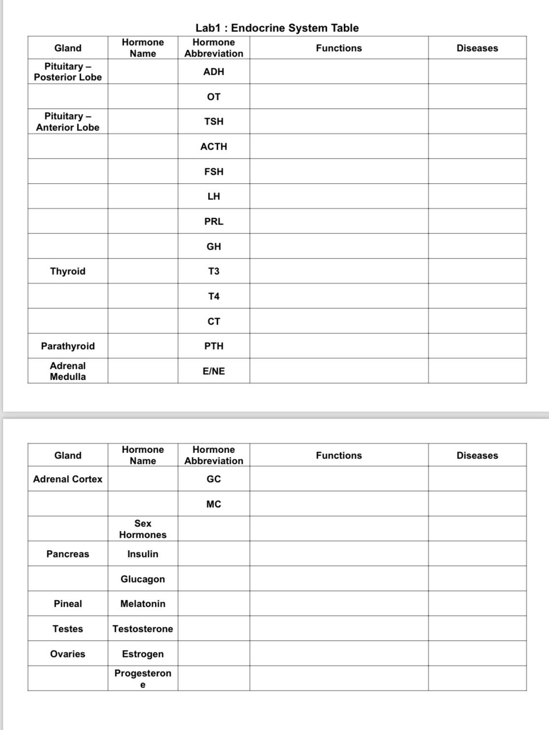 Solved Lab1: Endocrine System | Chegg.com