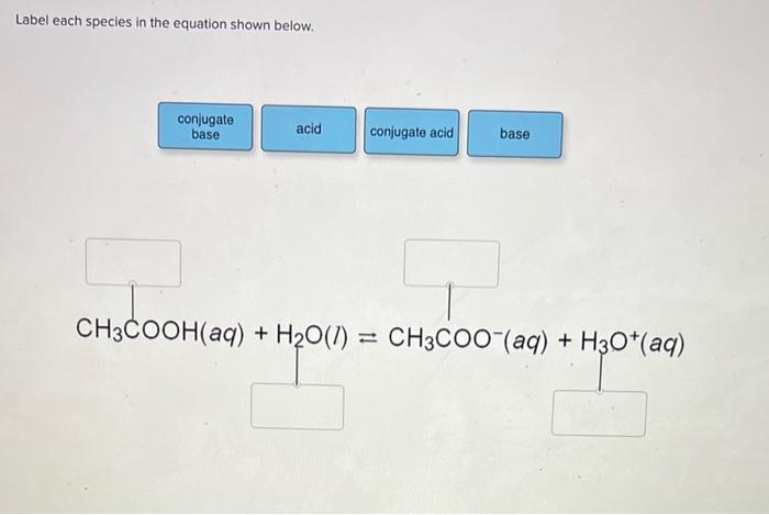 Solved Label each species in the equation shown below. | Chegg.com Solved Label each species in the equation shown below. | Chegg.com