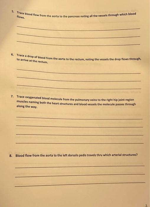 Solved 5. Trace blood flow from the aorta to the pancreas | Chegg.com