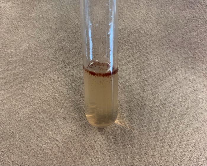 Solved I tested for solubility and color change in | Chegg.com