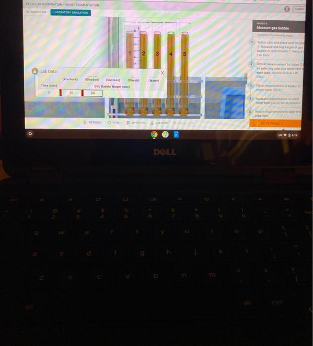 CELLULAR RESTATION VALT SENTATION LABORATOR SIMATION | Chegg.com