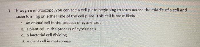 Solved 1. Through a microscope, you can see a cell plate | Chegg.com