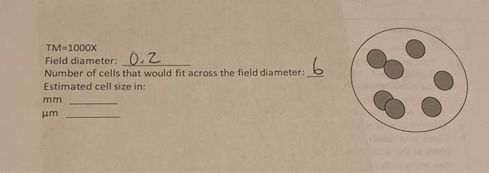 Solved 6 TM=1000X Field diameter: 0.2 Number of cells that | Chegg.com