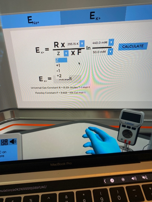 Solved Calculate The Succesive Equilibrium Potentials For